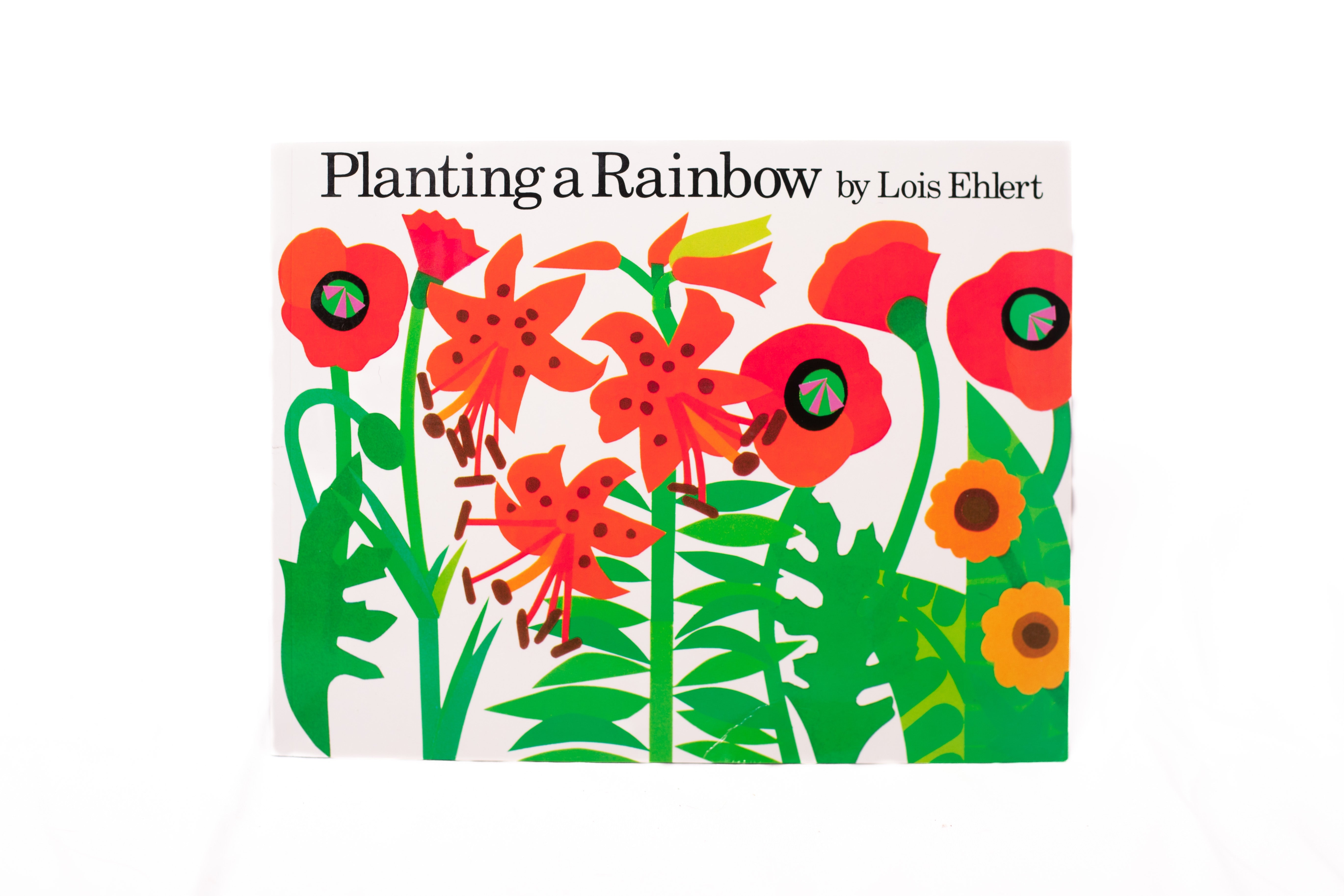 Planting a Rainbow – Antique Rose Emporium - Clubs