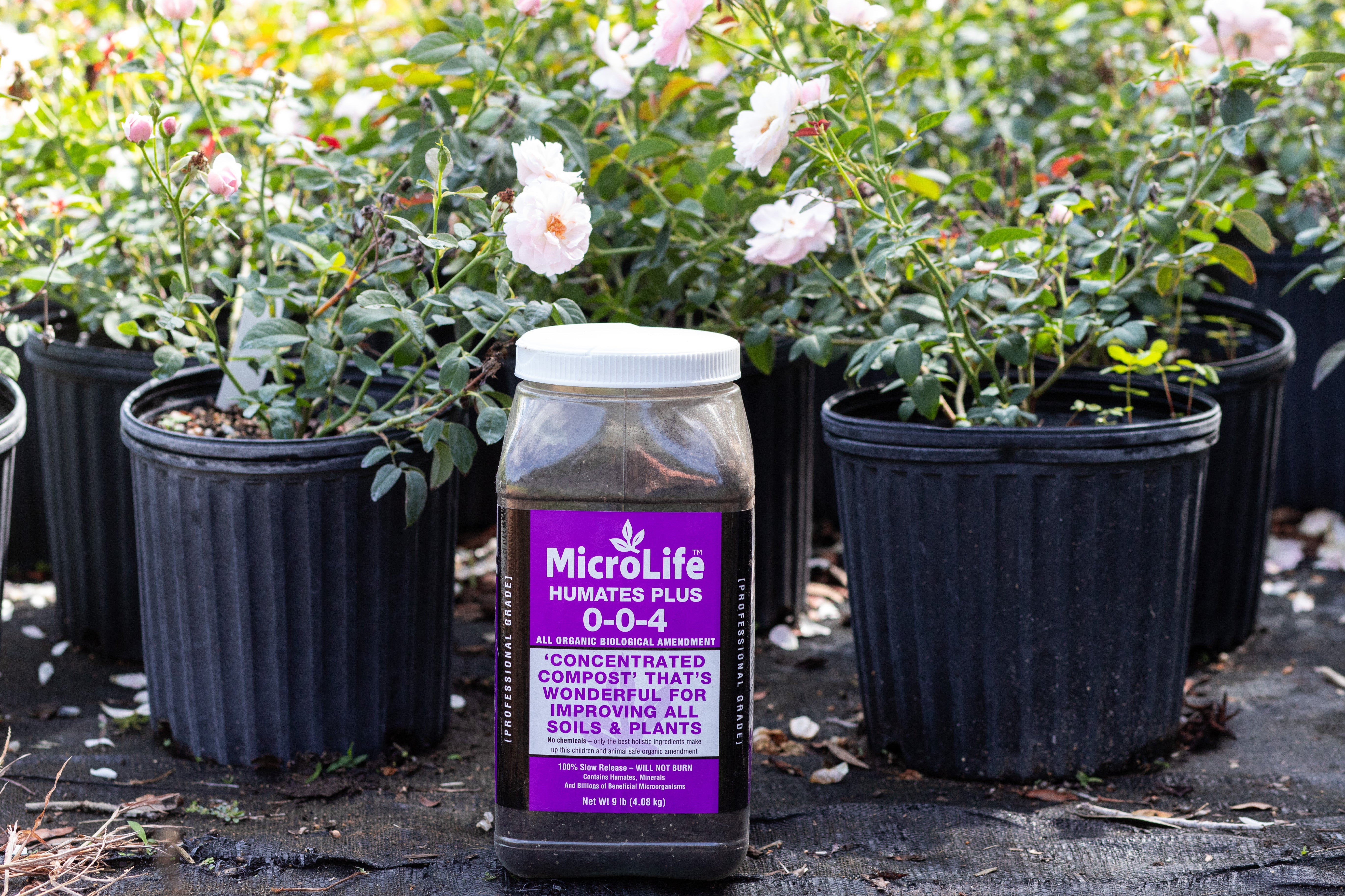 MicroLife - Humates Plus 0-0-4 – Antique Rose Emporium - Clubs